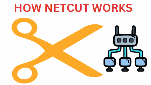 Test thử cắm usb vào router để backup và restore cấu hình